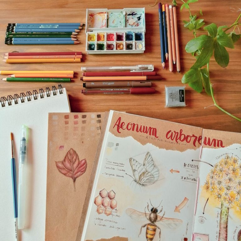 Pinta Magazine | El portal para tu tiempo libre