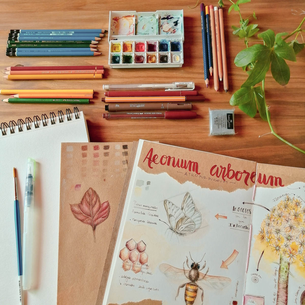 Pinta Magazine | El portal para tu tiempo libre