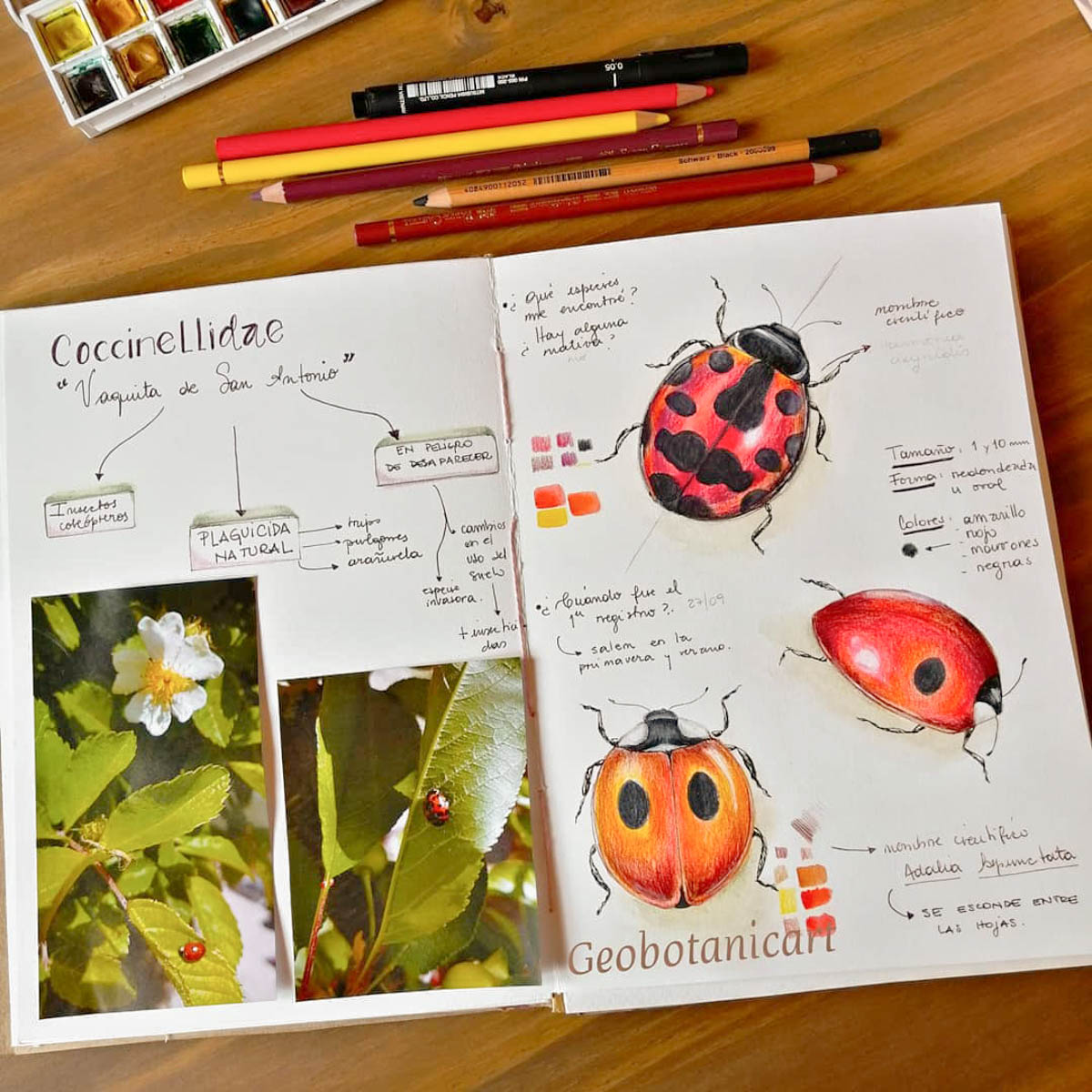 Pinta Magazine | El portal para tu tiempo libre