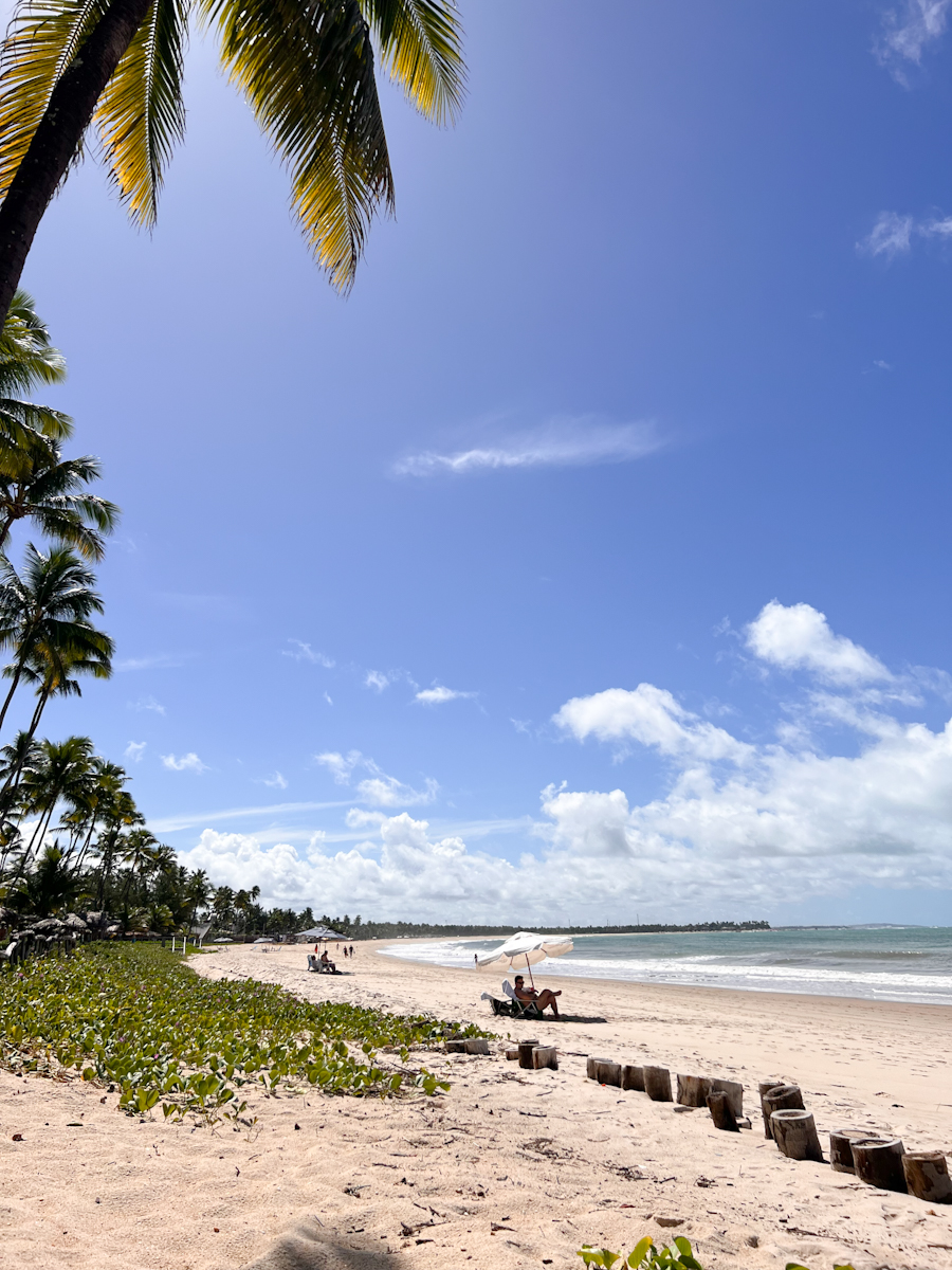 Pinta Magazine | El portal para tu tiempo libre